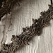 By the 1/2 Yard Victorian Antique Metallic Trim Intricate Pattern (ref ...