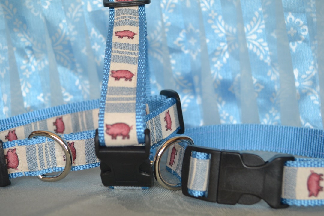 Large Dog Collars, Cute Pink Pig on Blue and Ivory Background. Charming ...
