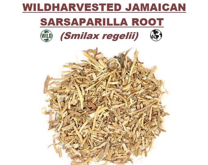 JAMAICAN SARSAPARILLA ROOT - Smilax Regelii - Etsy