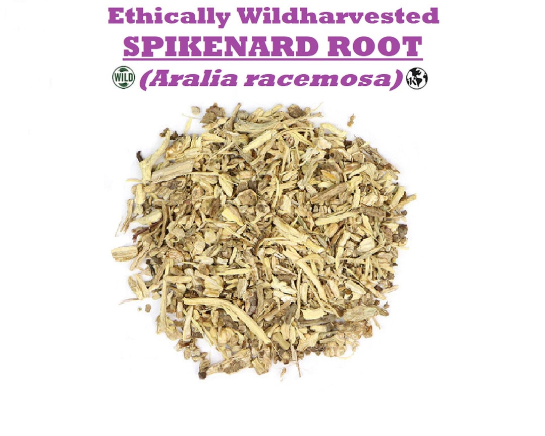SPIKENARD ROOT - Wildharvested Aralia Racemosa, Kosher - Etsy