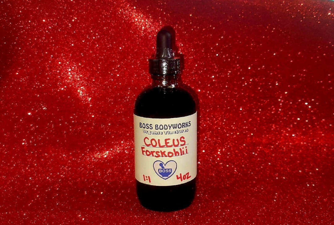 Organic COLEUS FORSKOHLII ROOT Tincture Ayurvedic Extract - Etsy