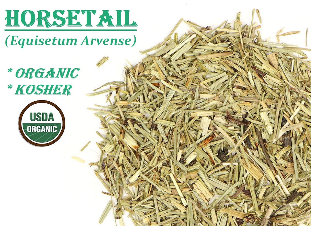 Organic HORSETAIL Herb SHAVEGRASS, Equisetum Arvense - Etsy