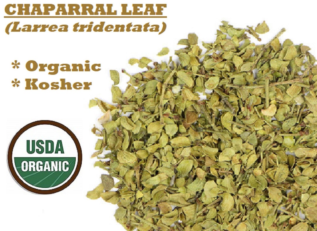 Organic CHAPARRAL LEAF - Larrea Tridentata - Etsy