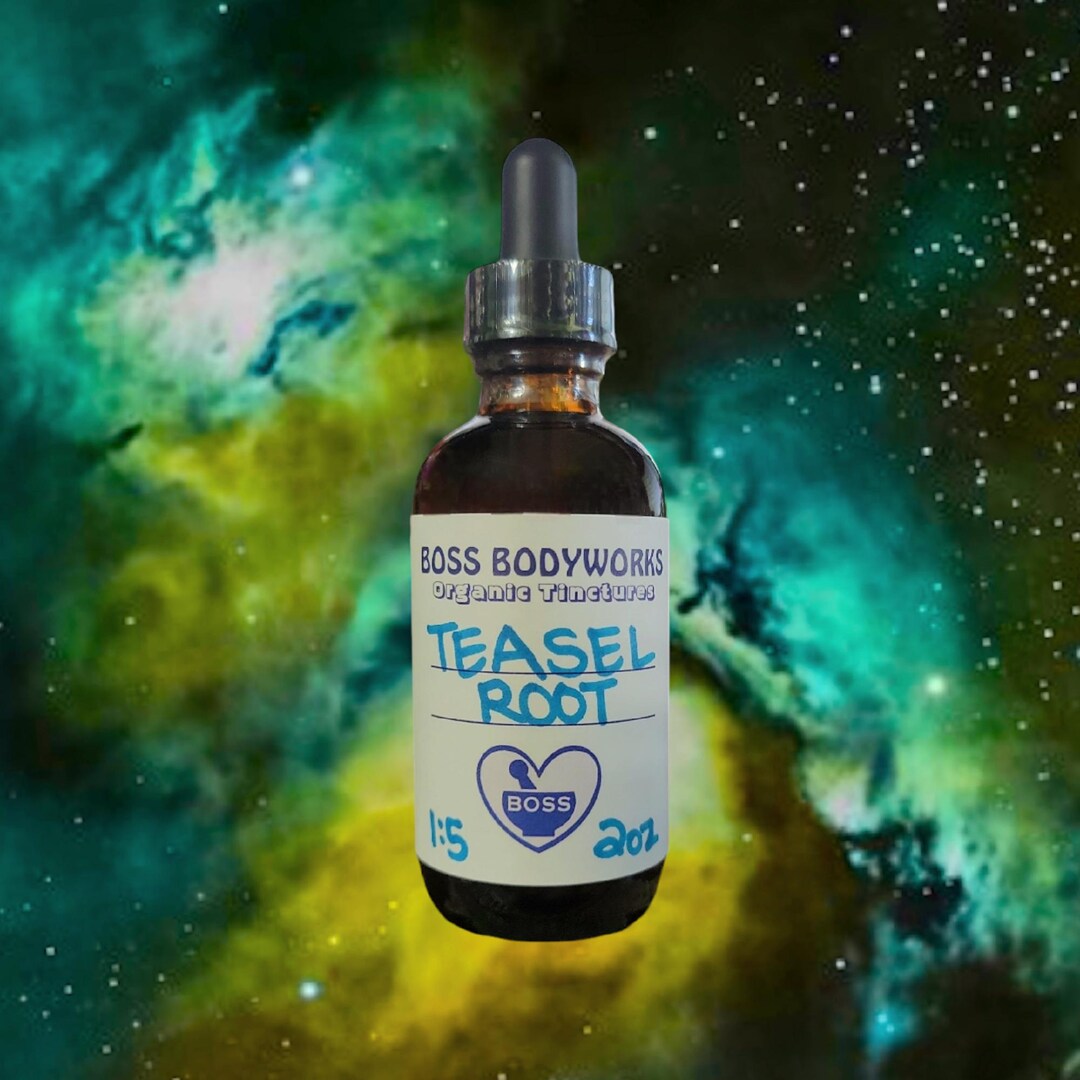 TEASEL ROOT TINCTURE - Dipsacus Fullonum Herbal Extract - Etsy