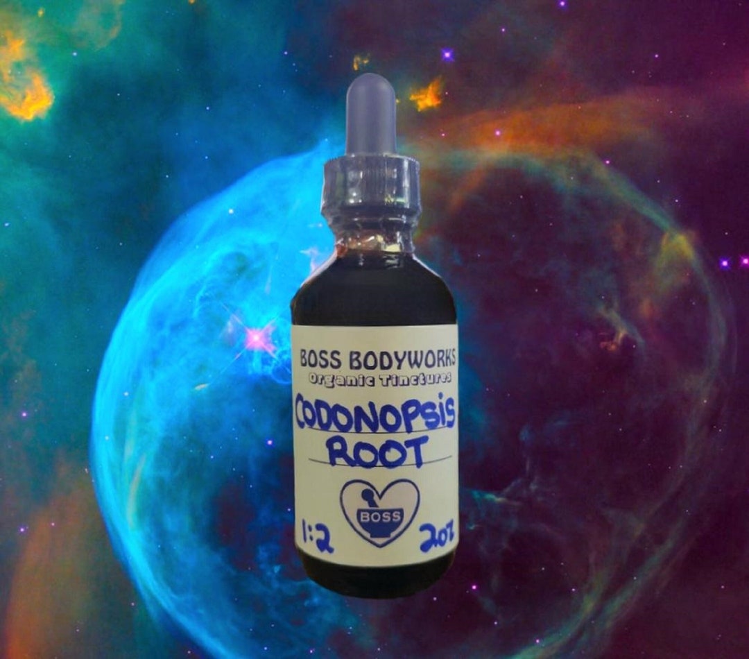 Organic CODONOPSIS ROOT Tincture - Codonopsis Pilosula Herbal Extract ...