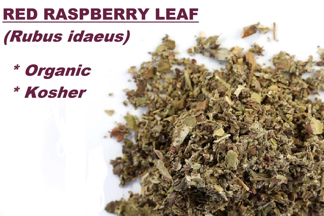 Organic RASPBERRY LEAF - Rubus Idaeus Dried Herb - Etsy