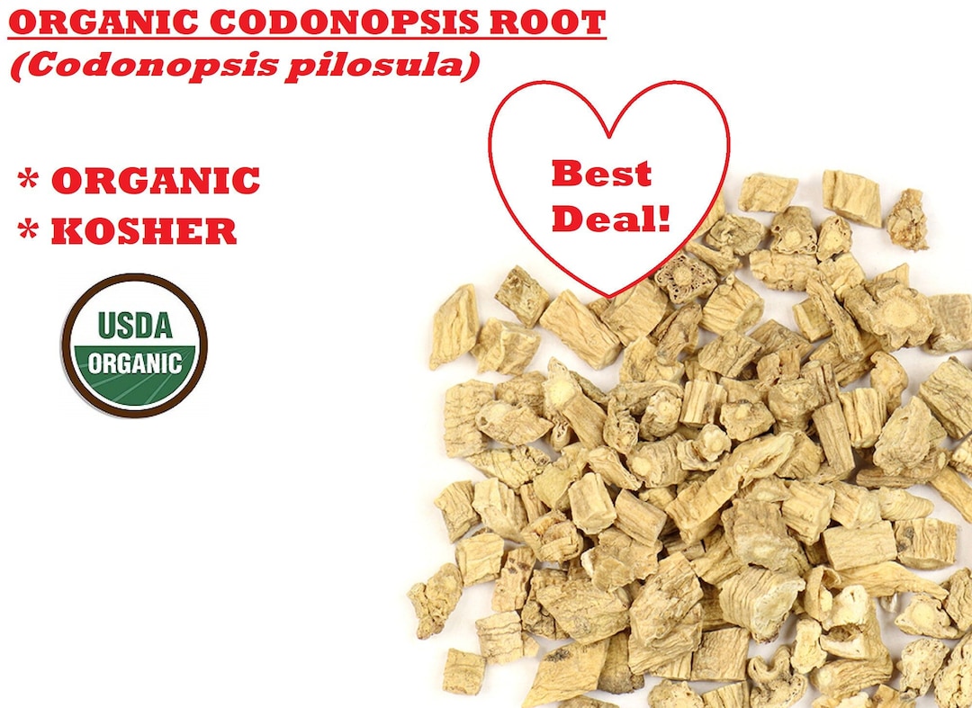 Organic CODONOPSIS ROOT - Codonopsis Pilosula - Etsy