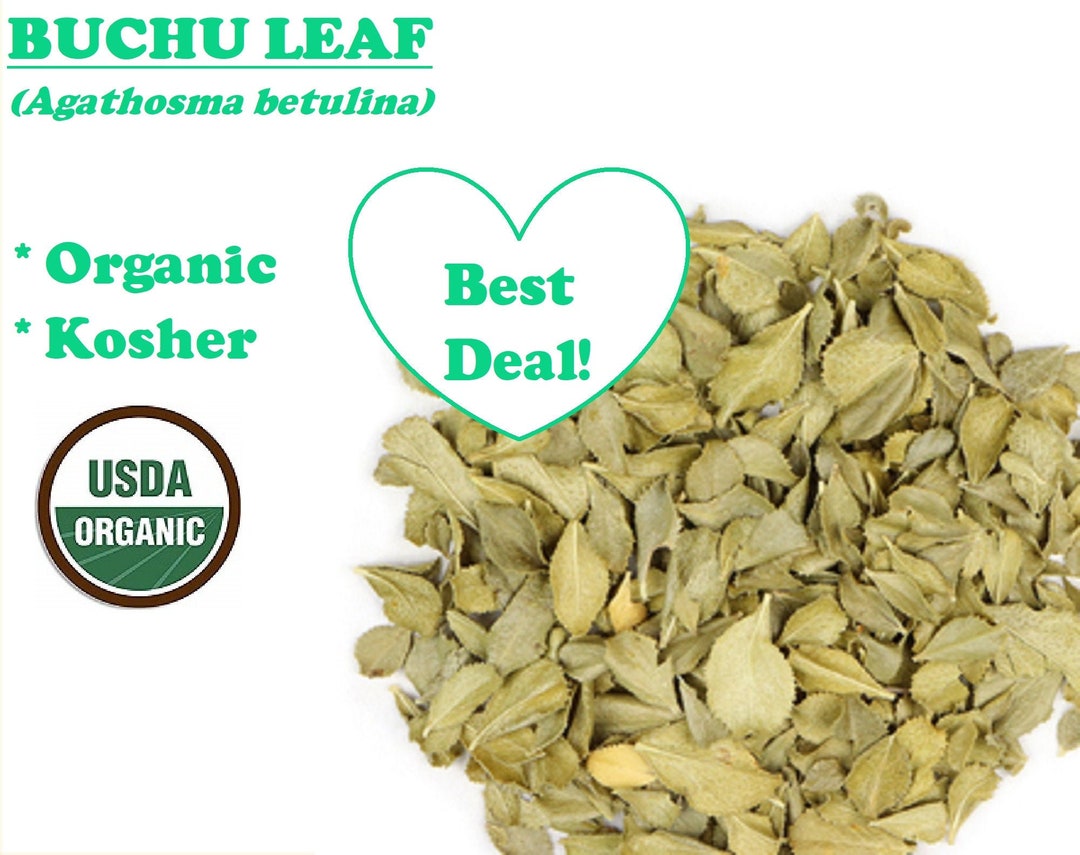 Organic BUCHU LEAF - Agathosma Betulina Herb, Bulk Dried Herbs ...