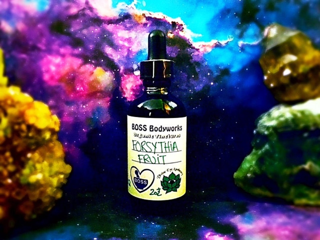 Organic FORSYTHIA FRUIT Tincture Forsythia Suspensa Herbal - Etsy