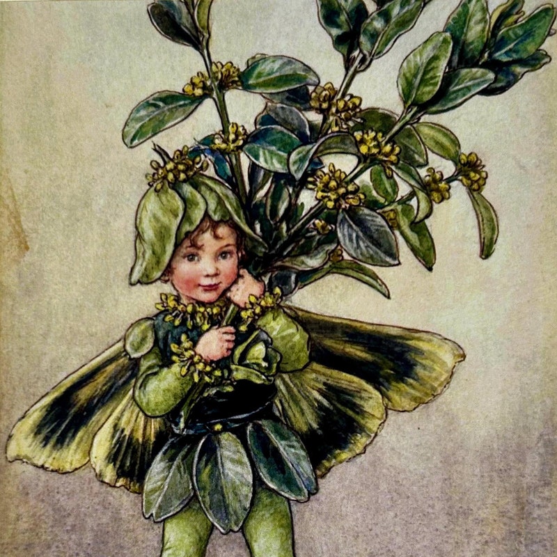 Fairy Postcard - Etsy