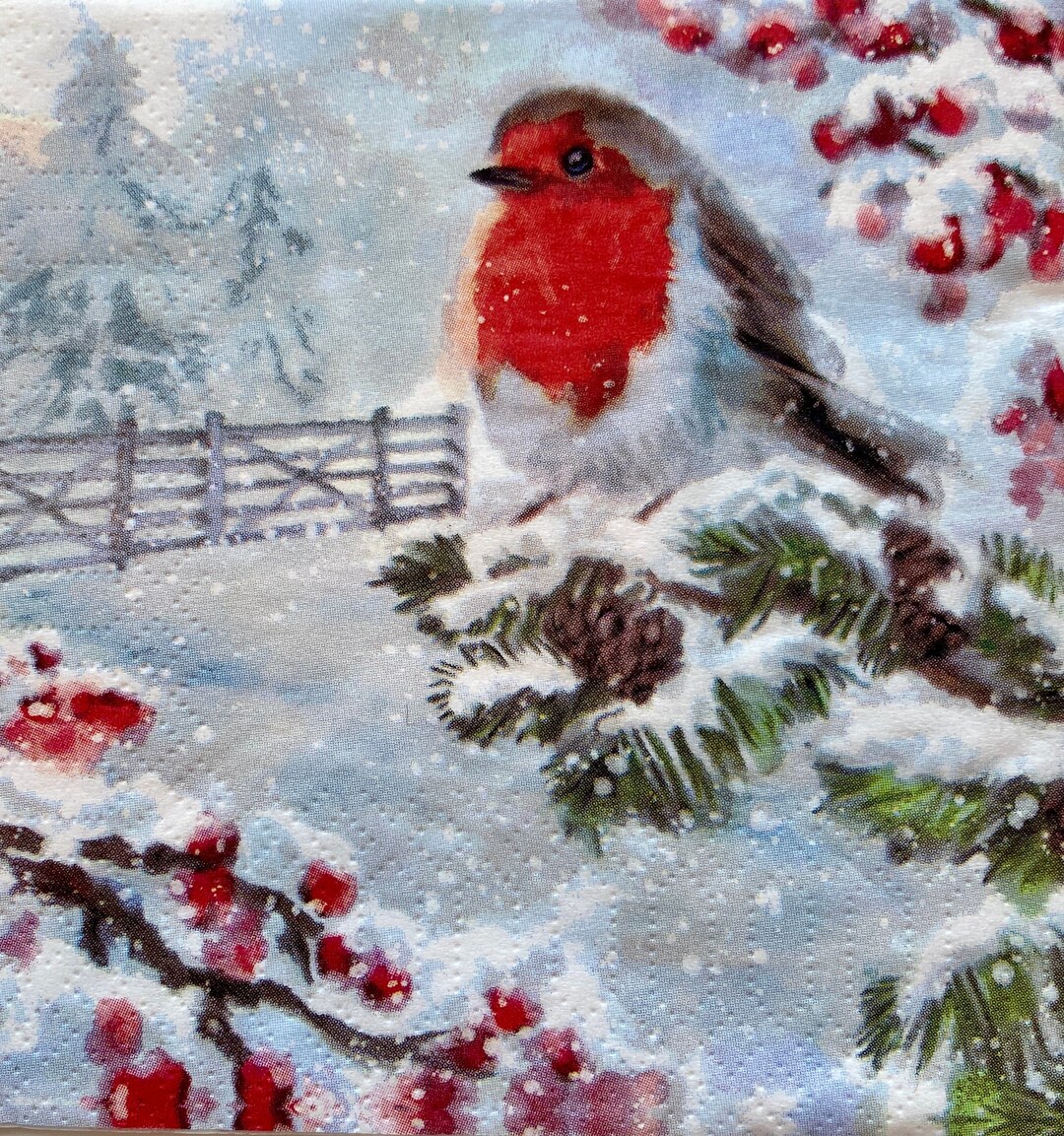 Bird Paper Napkin, Bird Napkin, Set of 3 Napkins, Robin Red Breast ...