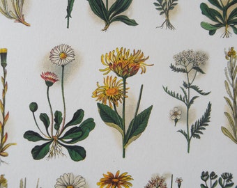 Botanical Print Paper Flowers and Leaves Design Floral | Etsy