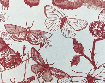 Botanical Print Paper,black and White Butterflies, Butterfly Paper ...