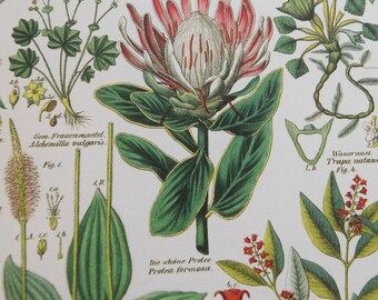 Botanical Print Paper Flowers and Leaves Design Floral | Etsy