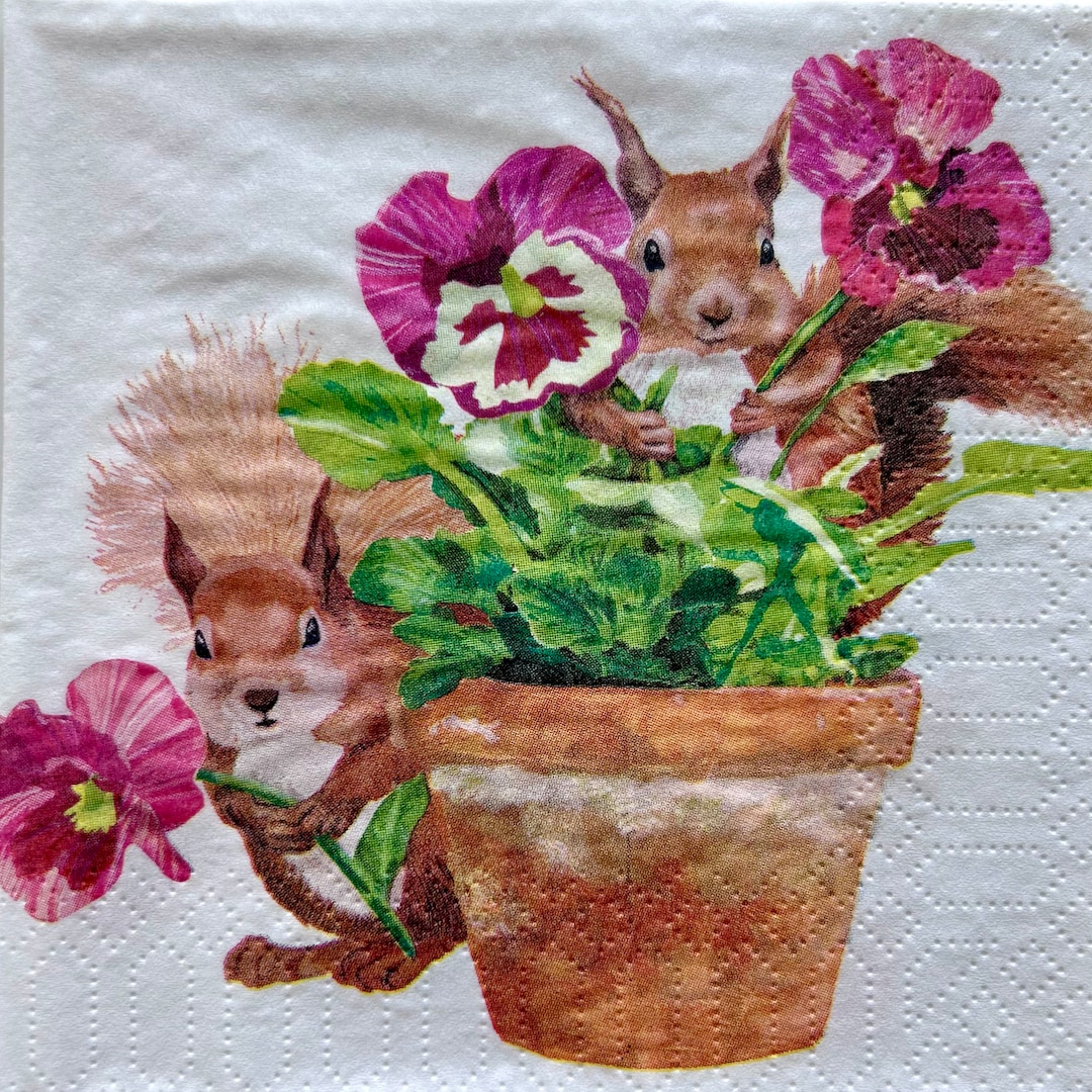 Squirrel Decoupage Napkins, Squirrels With Flower Pot, Paper Napkin ...