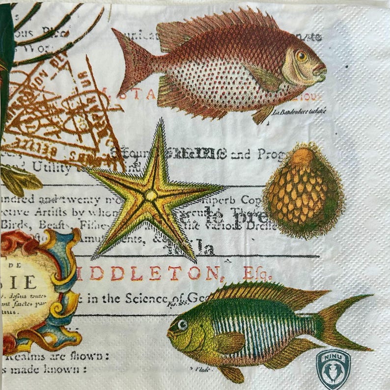 Colorful Sea Life Napkins: Ocean Decoupage Paper Crafts - Set of 3 - Etsy