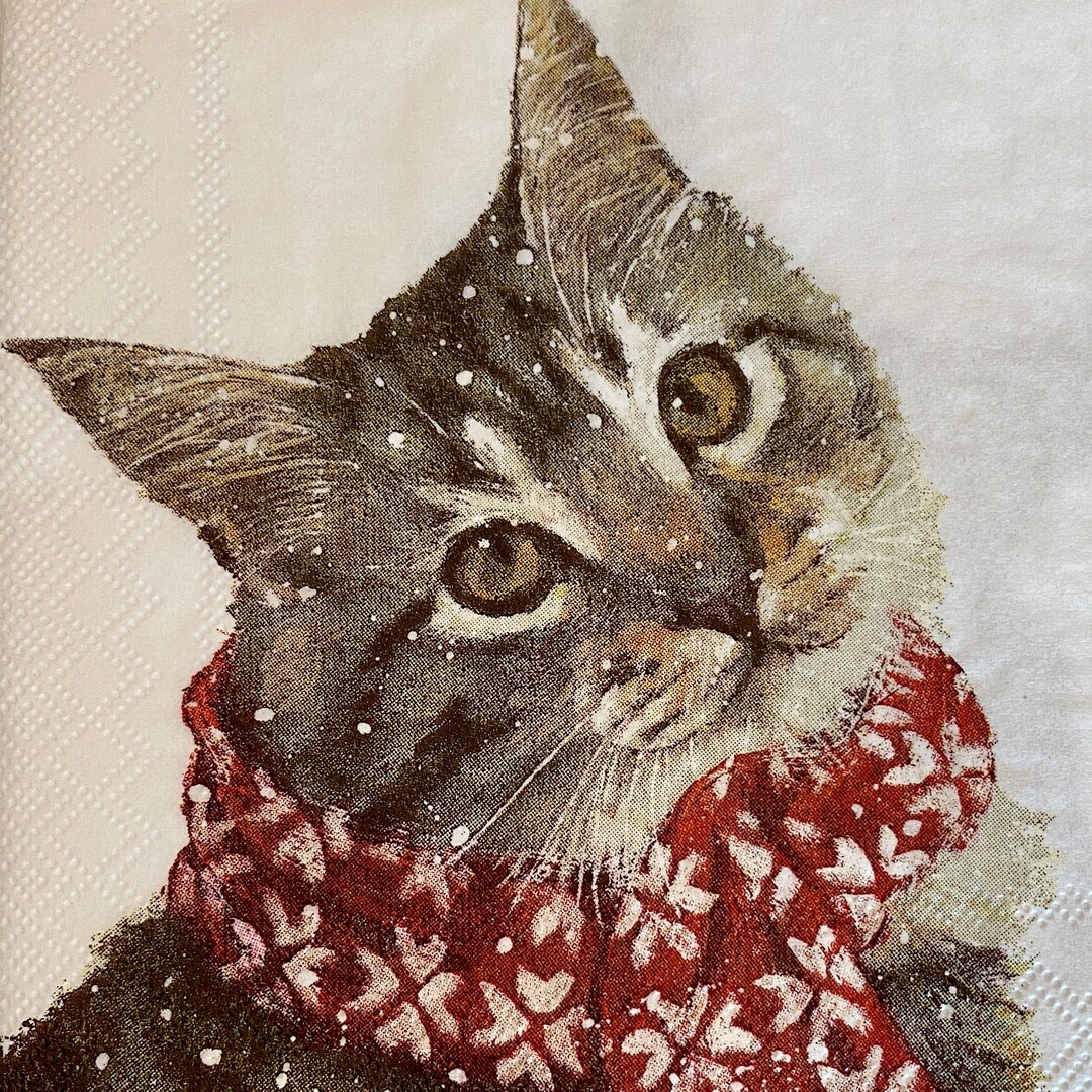Cat Napkins Napkins for Decoupage Winter Cat Decorative - Etsy