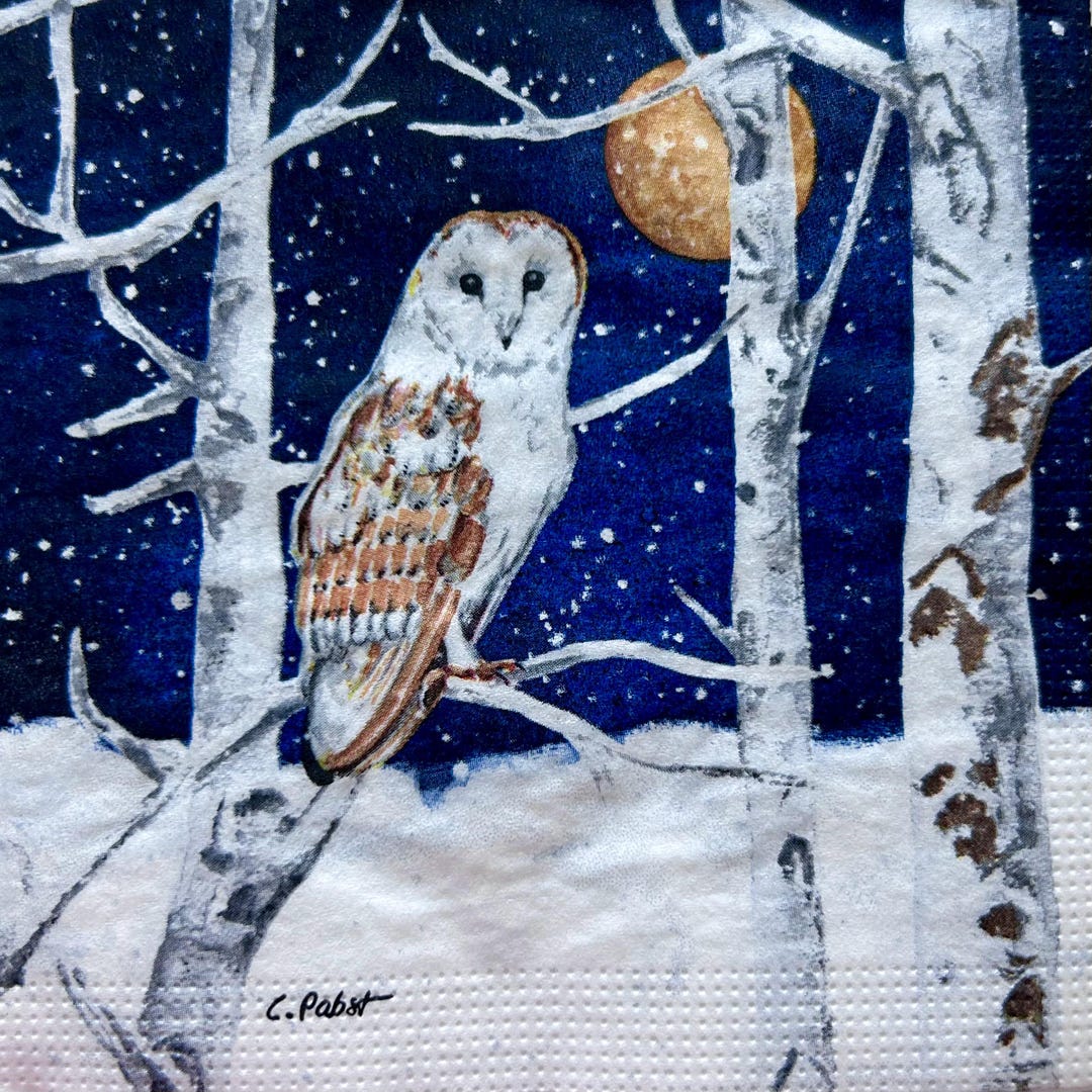 Night Owl Napkins, Winter Owl With Moon Paper Napkin, Forest Owl ...