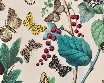 Botanical Print Paper,black and White Butterflies, Butterfly Paper ...