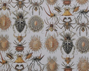 Insect Decoupage - Etsy