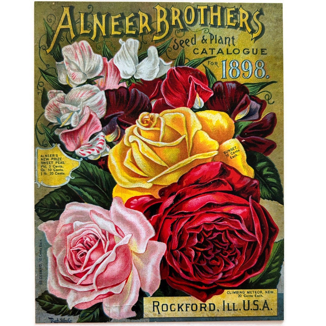 Flower Seed Packet Postcard, Yellow, Red and Pink Roses Postcard ...