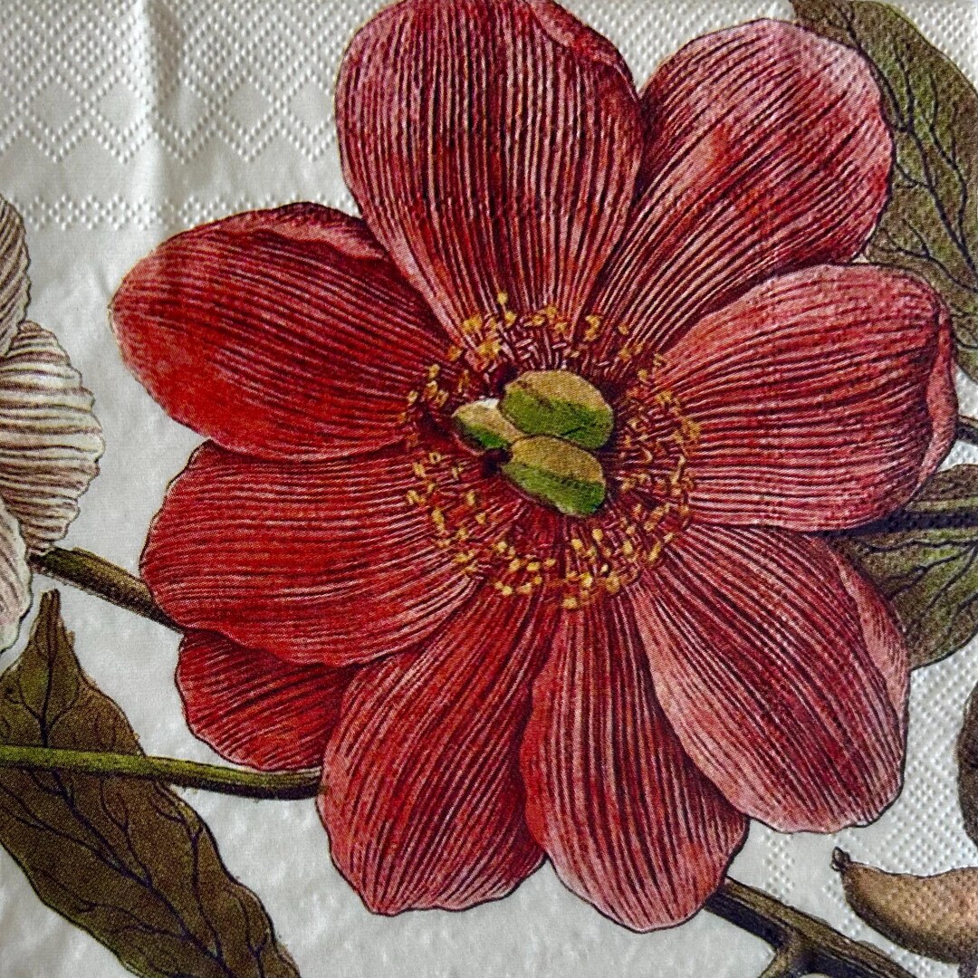 Coral Floral Napkins, Large Napkins for Decoupage, Decorative Napkins ...