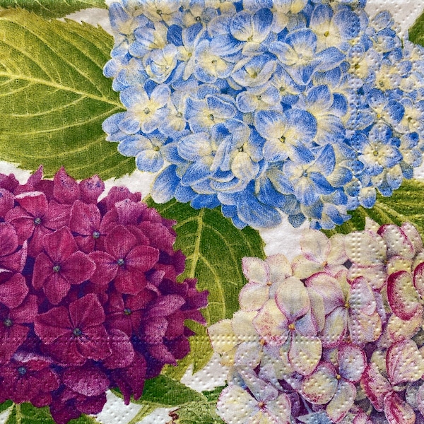 Floral Paper Napkins - Etsy
