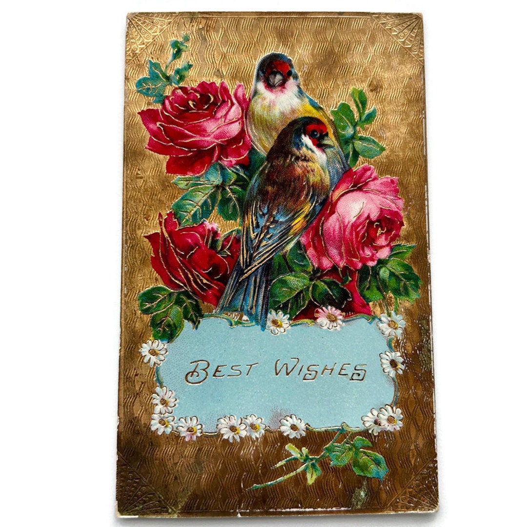 Vintage Postcard, German Art Postcard, Midcentury Ephemera, Bird and ...