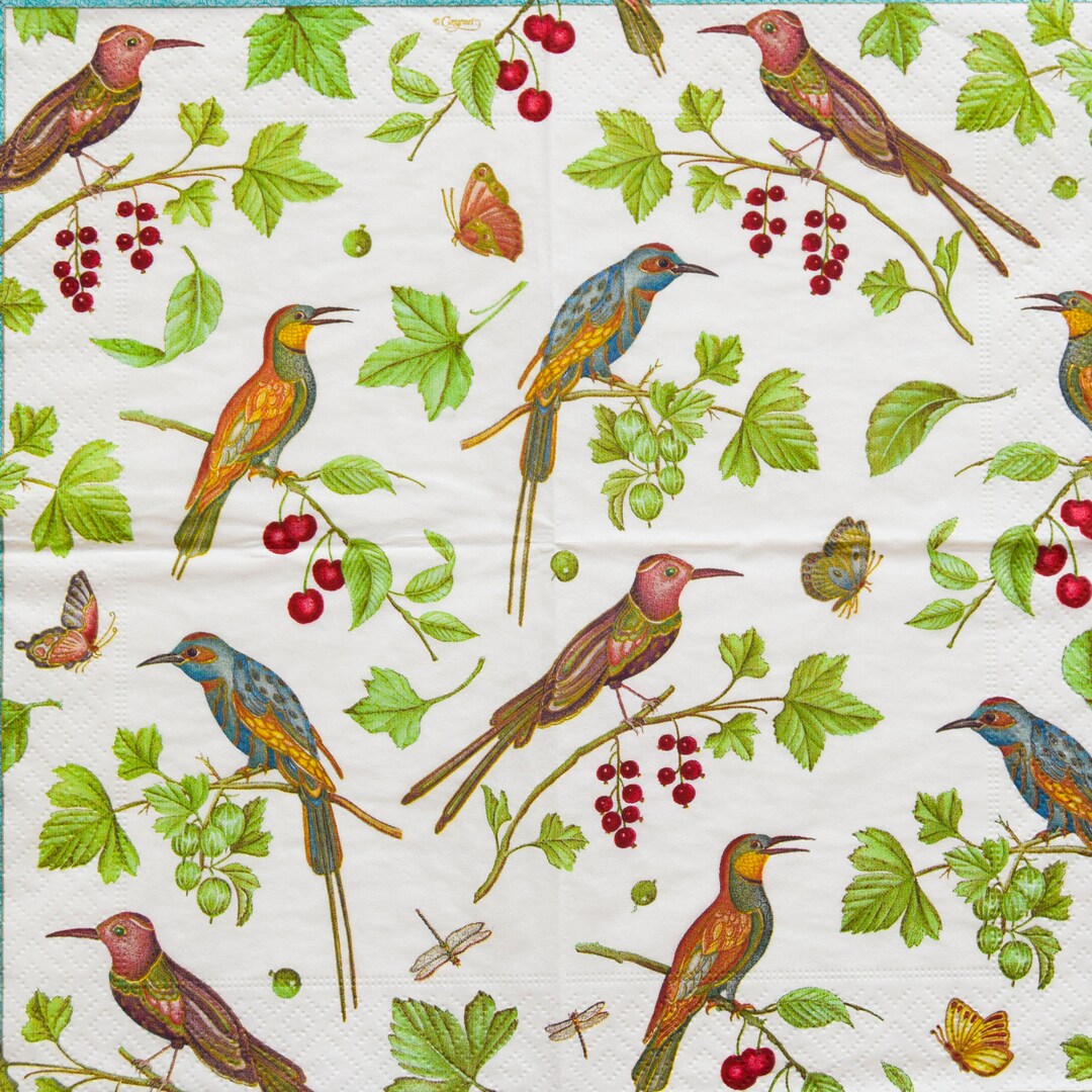 Gorgeous Hummingbird Napkins, 3 Decoupage Napkins, , Decoupage Papers ...