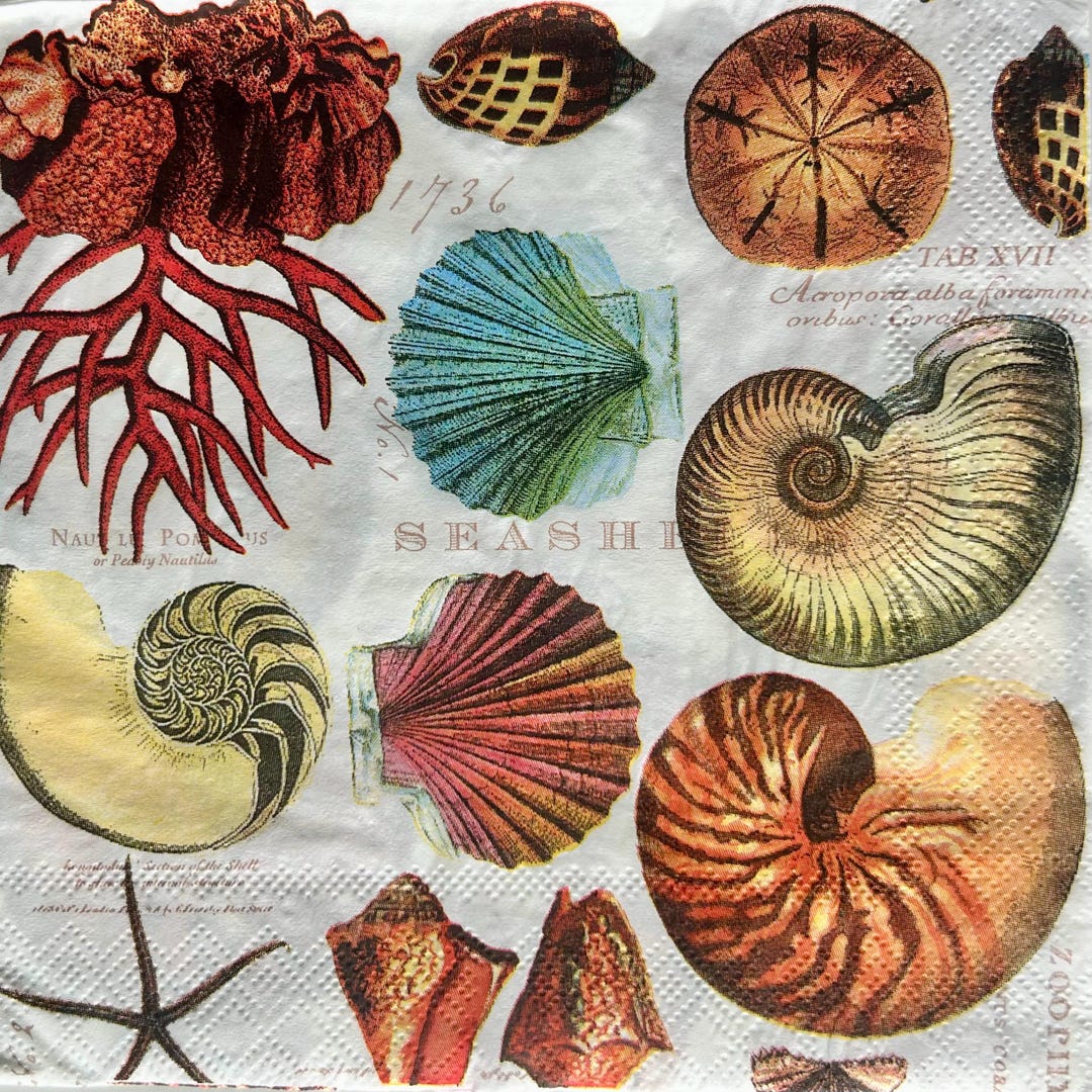 Ocean Coral & Shell Paper Napkins: Beach Decoupage (set of 3) - Etsy