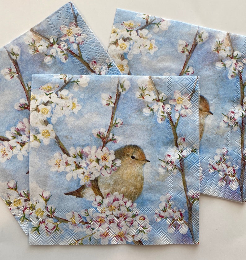 Bird With Cherry Blossoms Napkin Bird Paper Napkins Blue and - Etsy