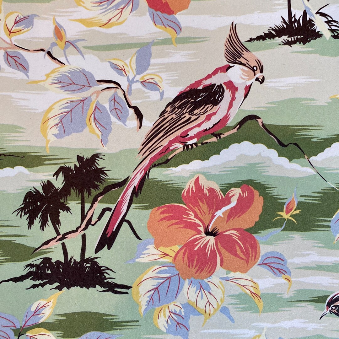 Tropical Bird Paper: Jungle Rainforest Design (2 Sheets, 8.5" X 11") - Etsy