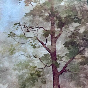 Forest Scenes Paper, Shades of Green, Fine Paper Pack, 8 Different ...