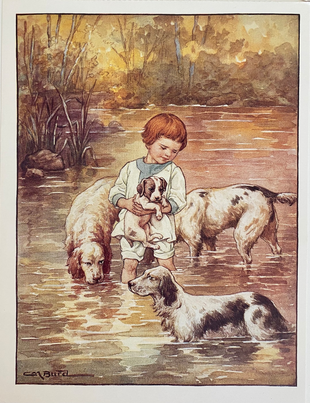 Vintage Postcard, Mid-century Art Postcard, Clara M Burd, American Illustrator, Child With Dogs ...