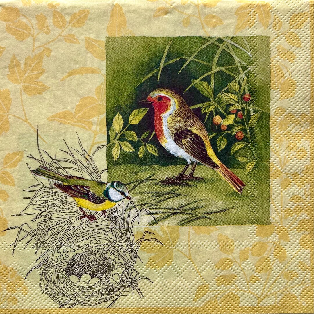Bird Paper Napkins: Floral Collage, Decoupage, Scrapbooking (set of 3 ...