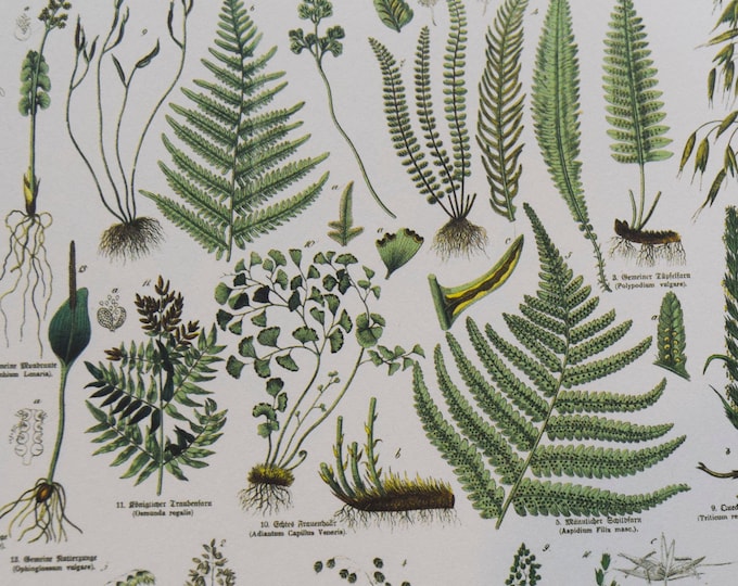 Botanical Print Paper Flowers and Leaves Design Floral | Etsy