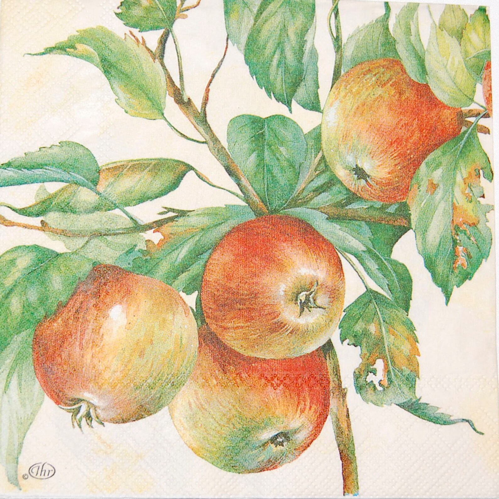 Apple Napkin Set Fruit Paper Set of 3 Napkins Collage - Etsy