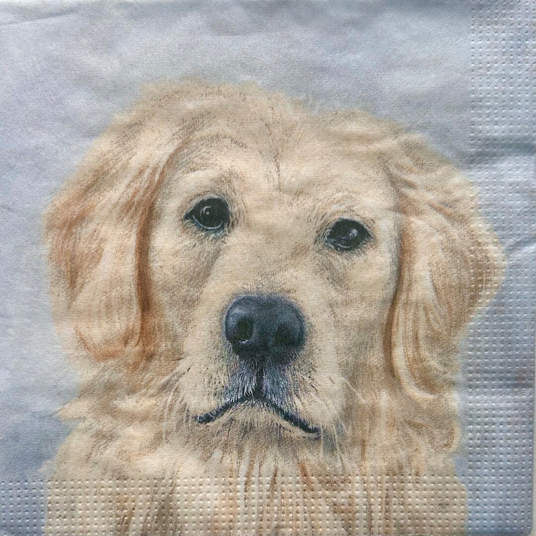 White Lab Paper Napkins: Dog Decoupage Supplies (set of 3) - Etsy