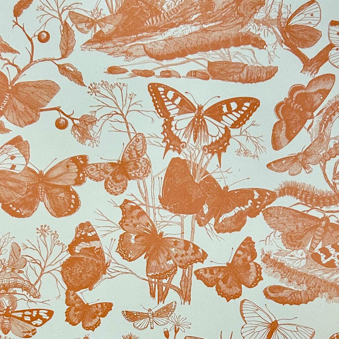 Botanical Print Paper: Vintage Orange Butterflies, Decoupage ...