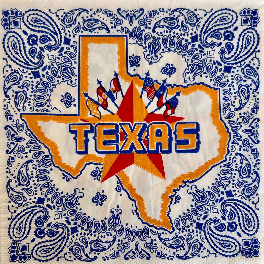Map of Texas Napkins, 3 Large Paper Napkins, Blue and White Napkin ...