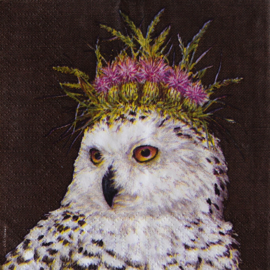 Owl Decoupage Napkins: Whimsical Floral Crown, Set of 3 - Etsy