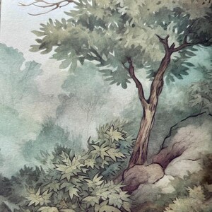 Forest Scenes Paper, Shades of Green, Fine Paper Pack, 8 Different ...