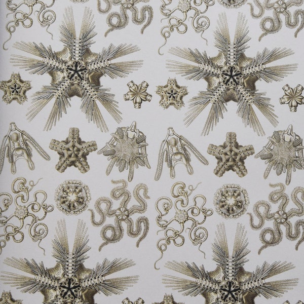 Jellyfish Decoupage Paper - Etsy