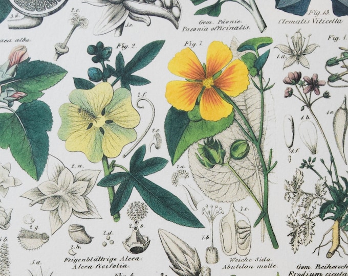 Botanical Print Paper Flowers and Leaves Design Floral - Etsy