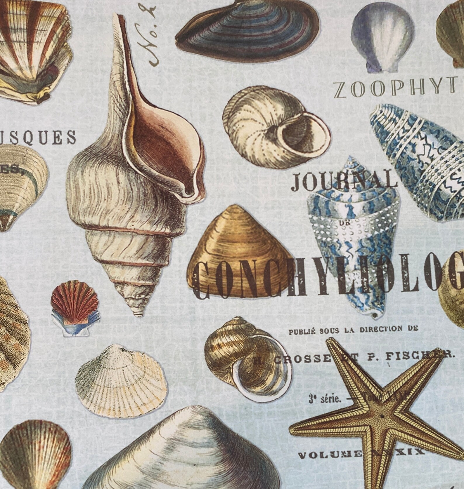 Botanical Print Paper, Sea Shells, Shell Paper, Collage Paper, Ocean ...
