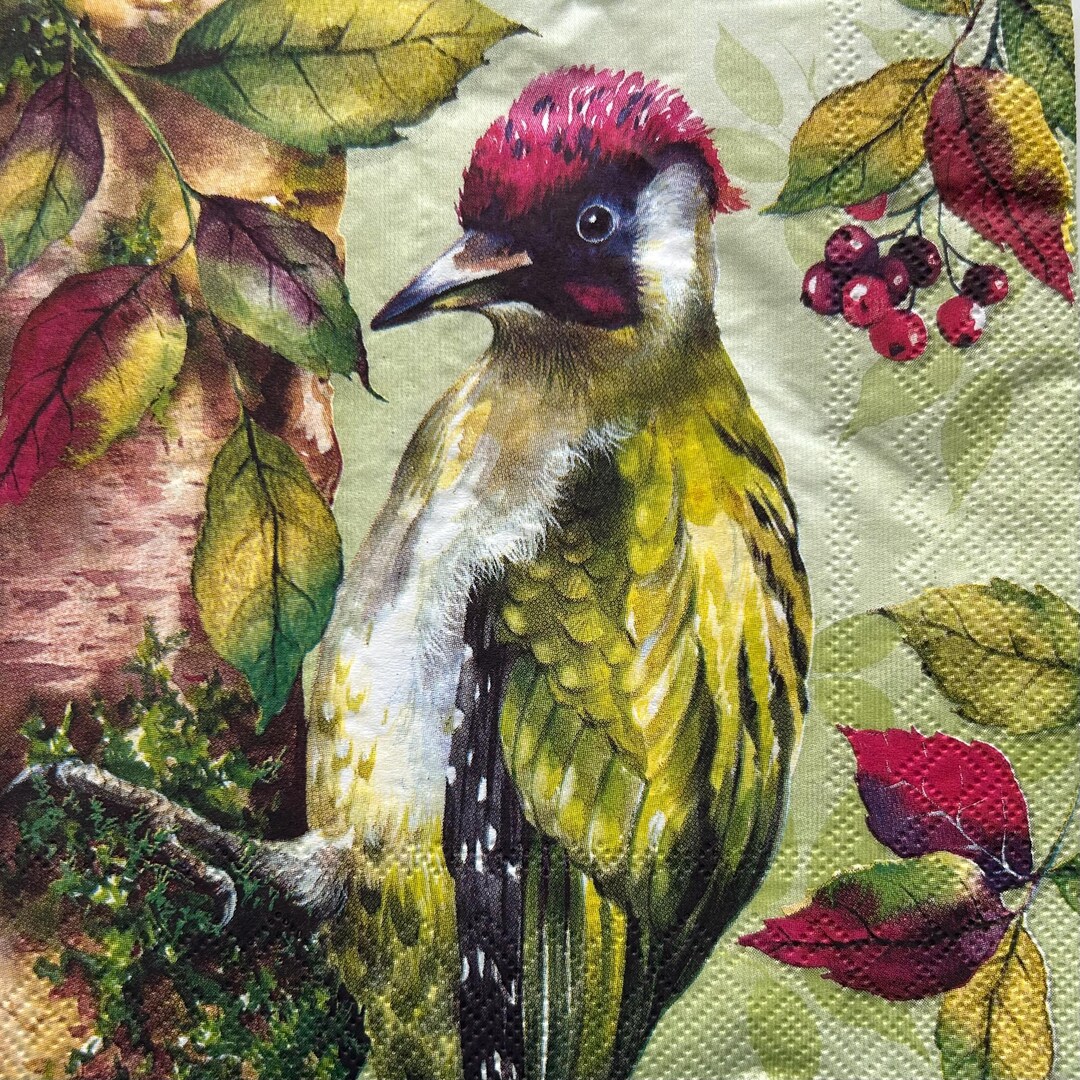Green Bird Paper Napkins: Decoupage Craft Supply, Set of 3 - Etsy