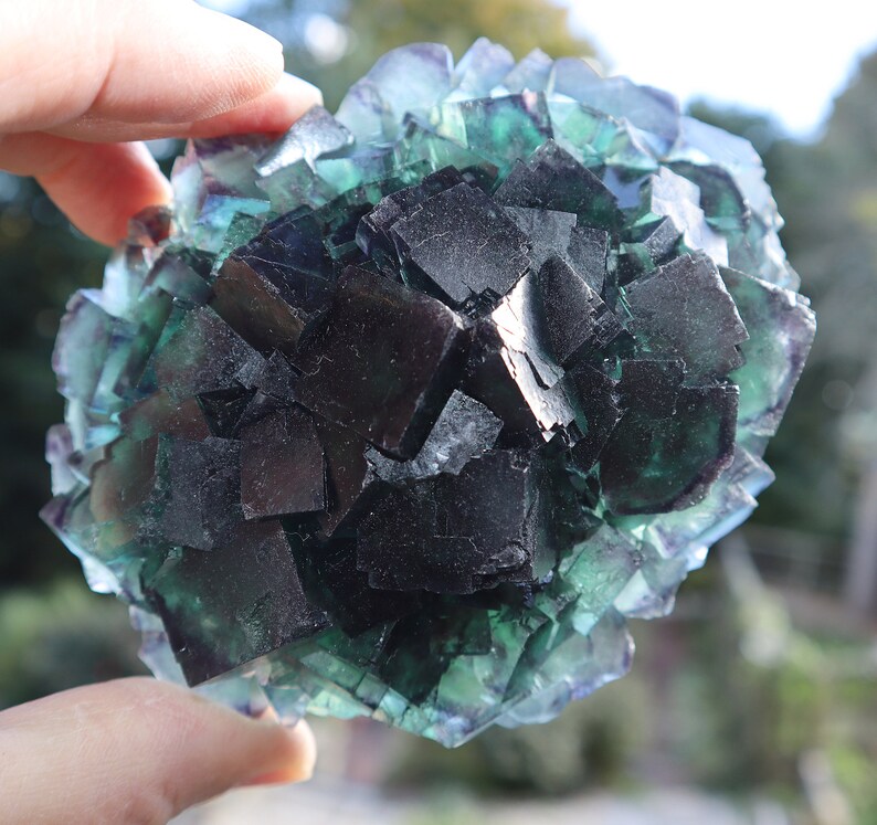 Okorusu Fluorite Crystal Flower: Green Color Zoning, Namibia, 5 Inch - Etsy