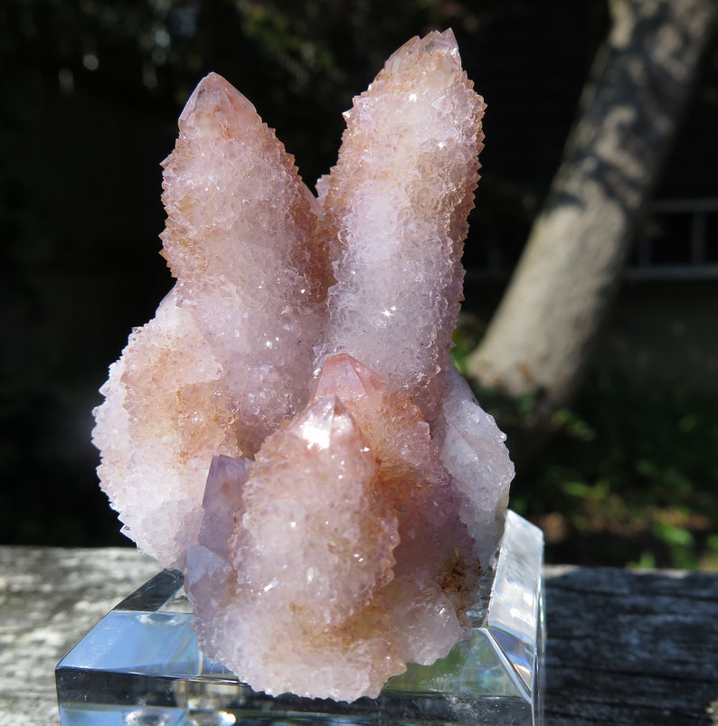 Spirit Cactus Amethyst Quartz. Boekenhoutshoek Area Mkobola - Etsy