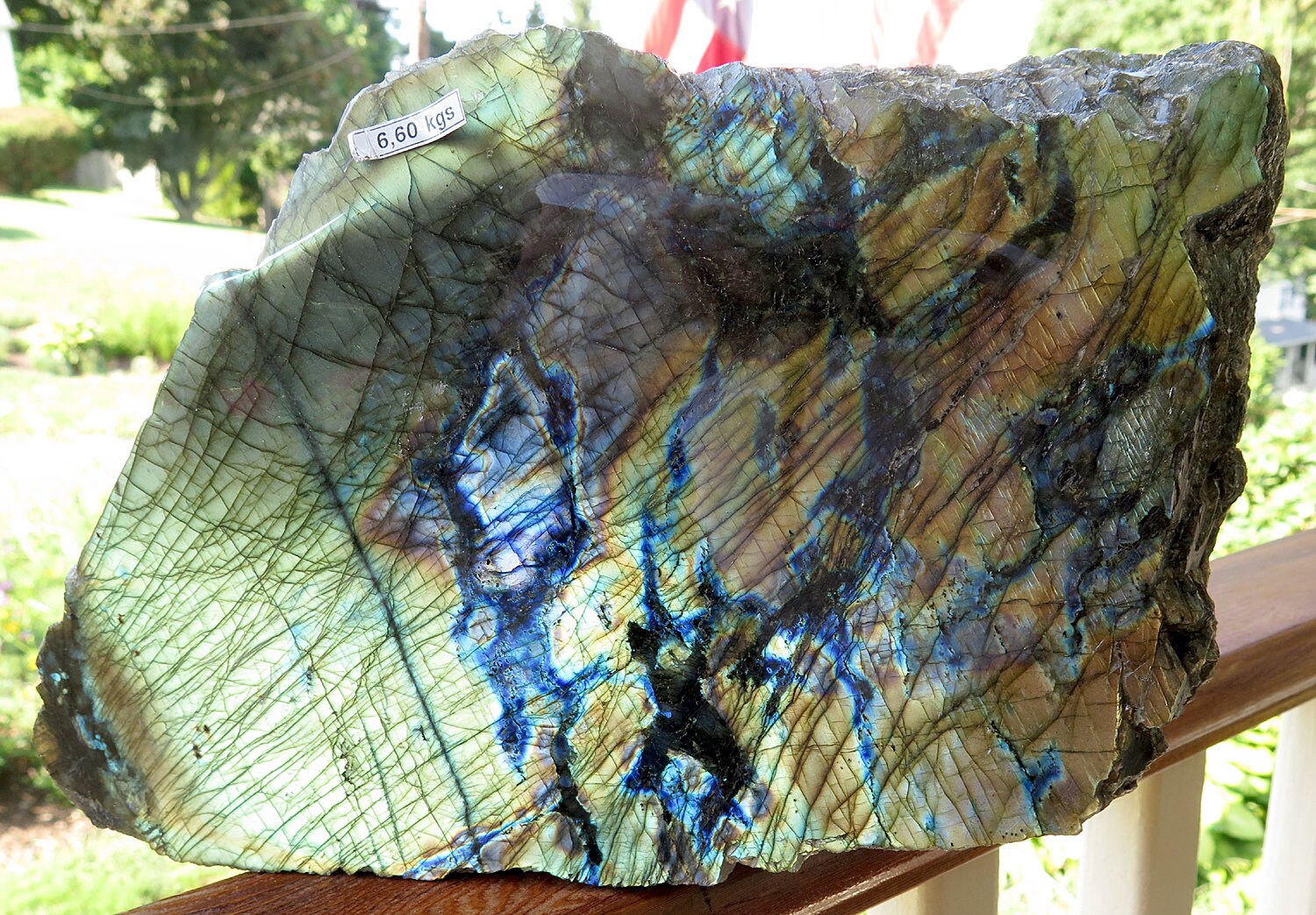 A High quality Labradorite showpiece with 100% flash of gold and blue ...