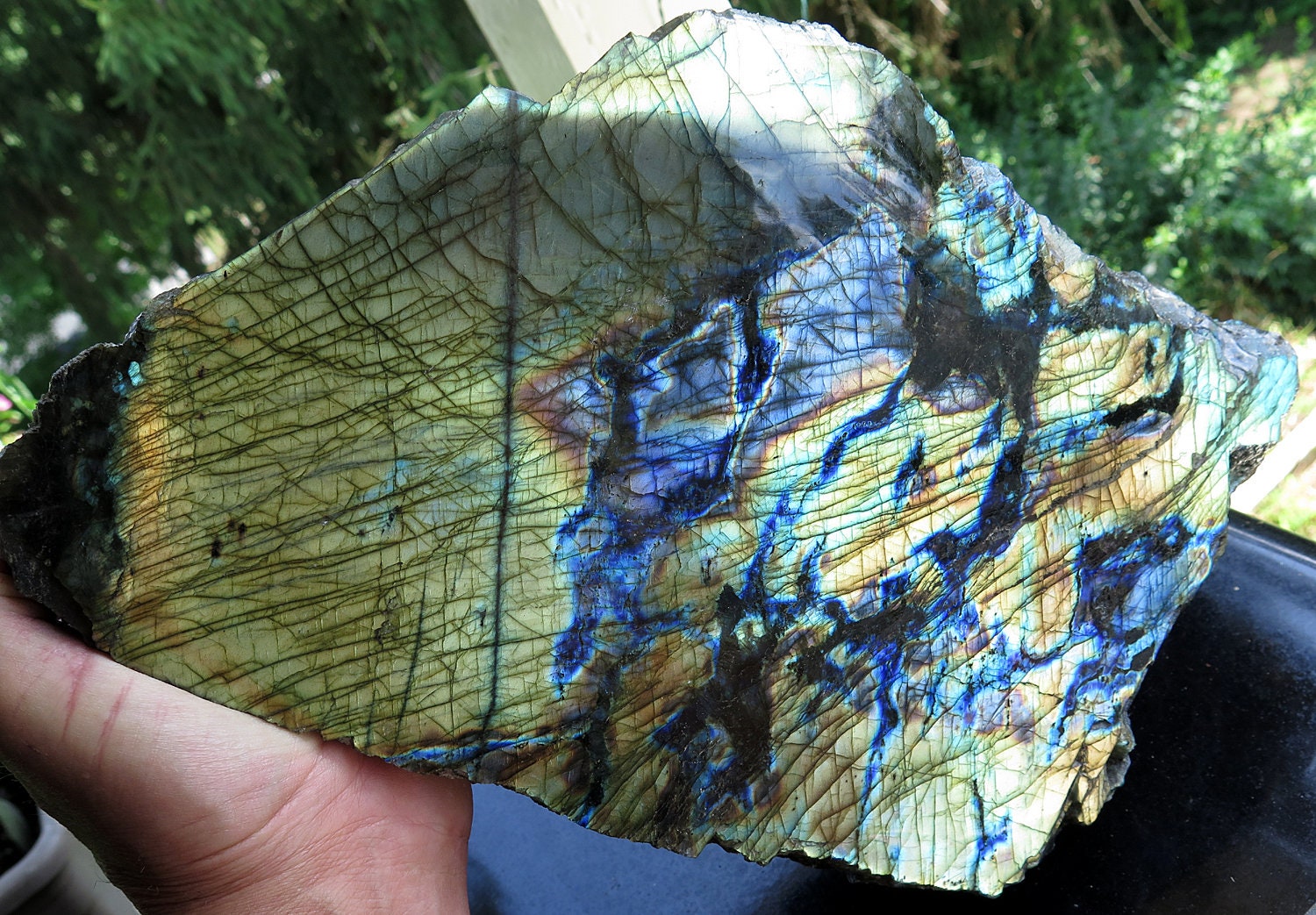 A High quality Labradorite showpiece with 100% flash of gold and blue ...